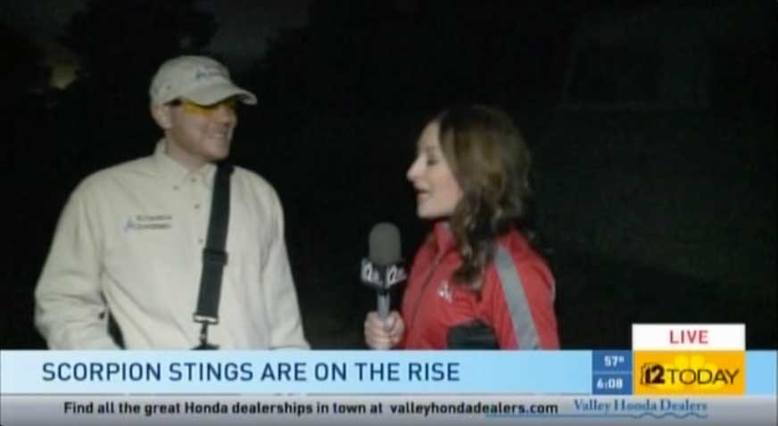Scorpion Hunting in Tempe with NBC 12 Morning News